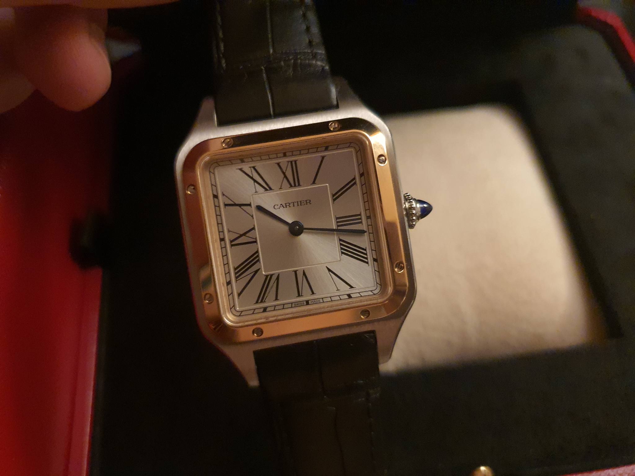 Santos Dumont LM W2SA0011 | VIVER