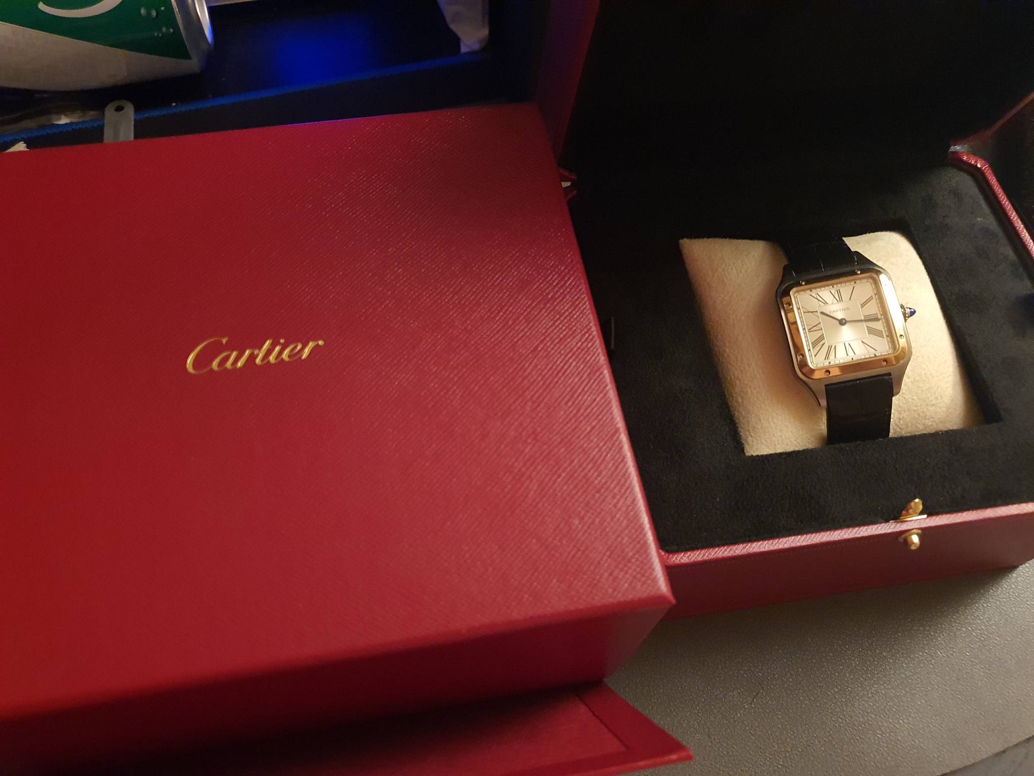 Santos Dumont LM W2SA0011 | VIVER