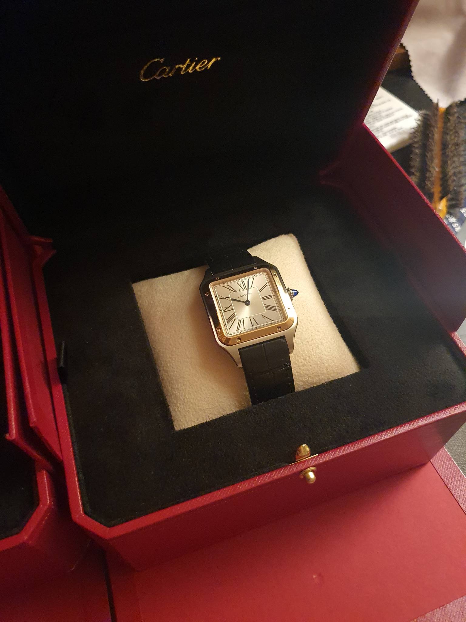 Santos Dumont LM W2SA0011 | VIVER