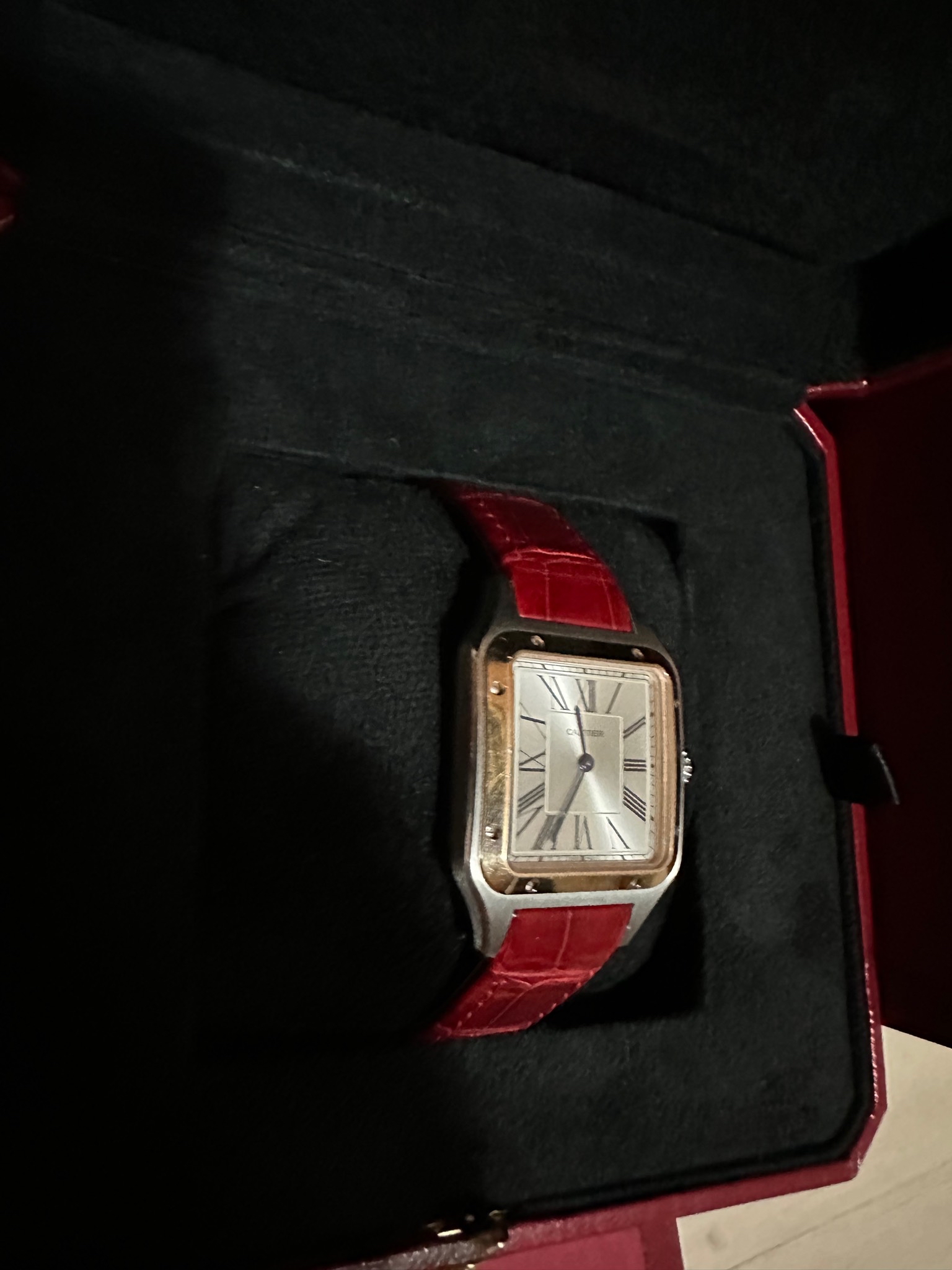 Santos Dumont LM W2SA0011 | VIVER