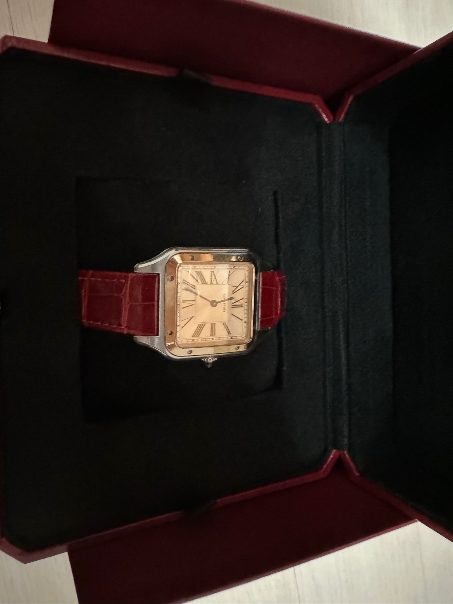 Santos Dumont LM W2SA0011 | VIVER